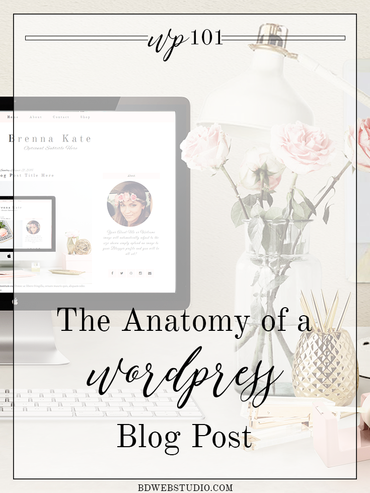 The Anatomy of a WordPress Blog Post (Classic Editor) | BD Web Studio